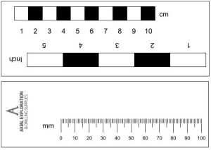 Photo Field Scale Card